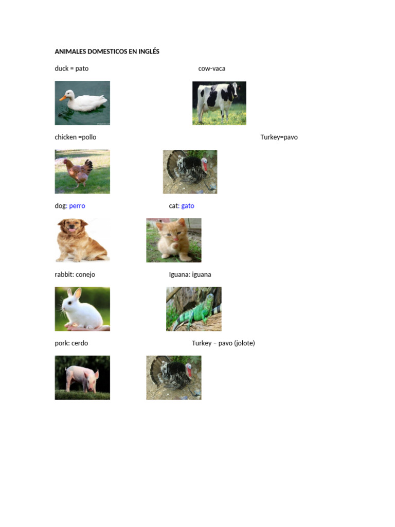 Nombres de Animales en Inglés y Popti | PDF
