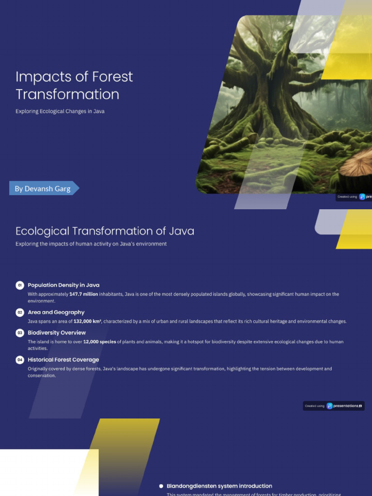 Impacts of Forest Transformation in Java | PDF