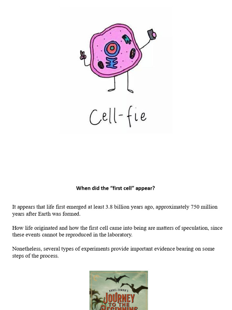 Origin of the First Cell Explained | PDF | Lipopolysaccharide | Rna