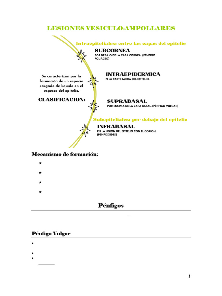 Lesiones Vesiculo-Ampollares y Acantólisis | PDF | Epitelio | Anticuerpo
