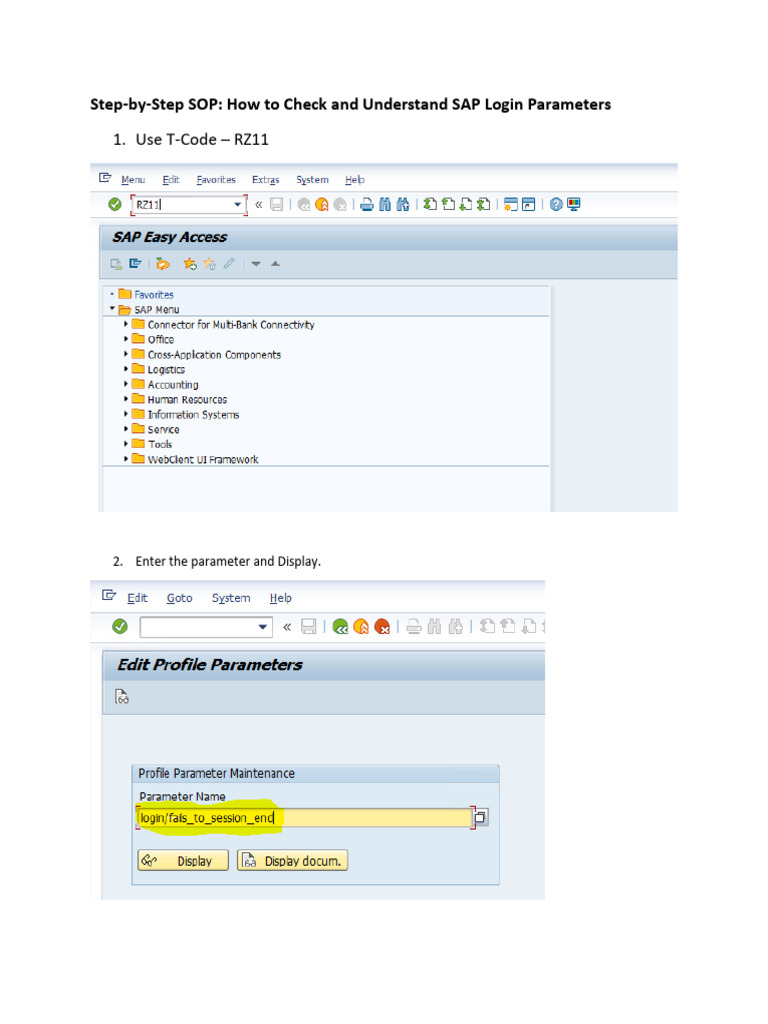 SAP Login Parameter Check Guide | PDF