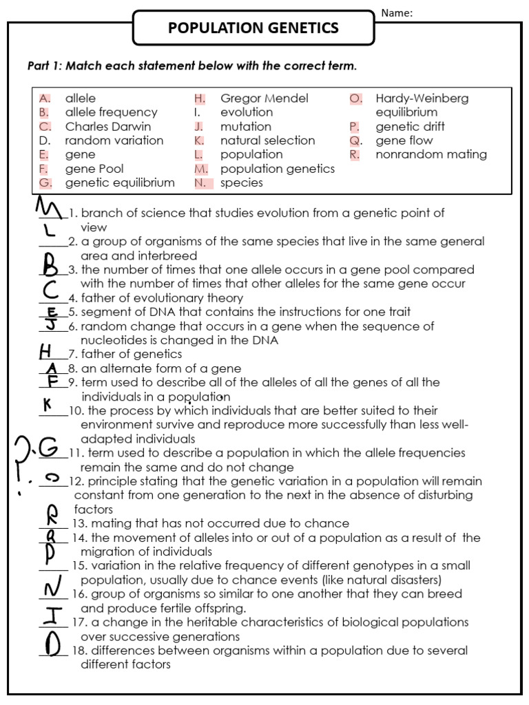 Genetic Variation in Population Genetics | PDF | Genetics | Evolution