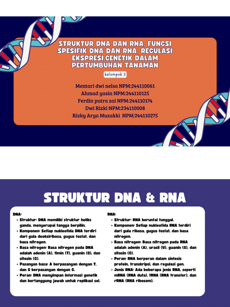 Biokima Kel2 PDF | PDF