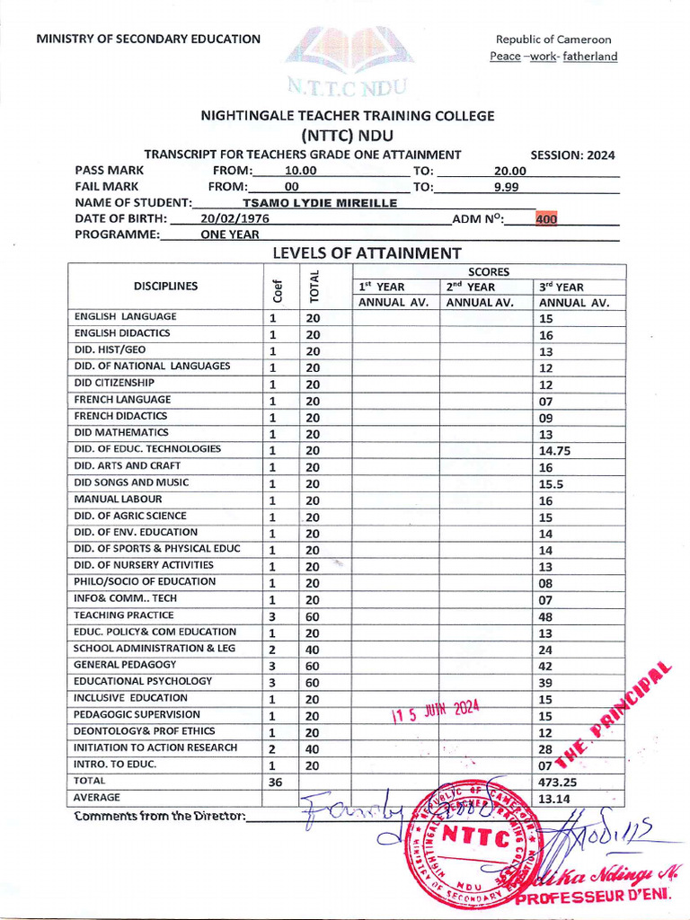 Levels of Attainment | PDF