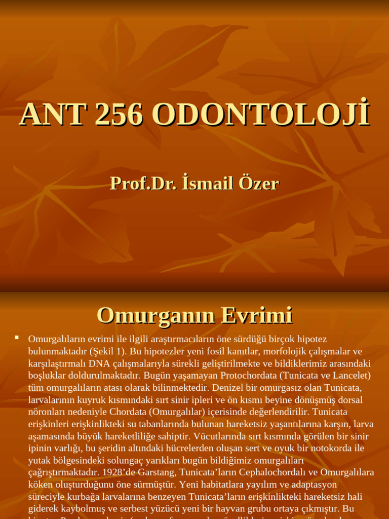 1 Hafta | PDF
