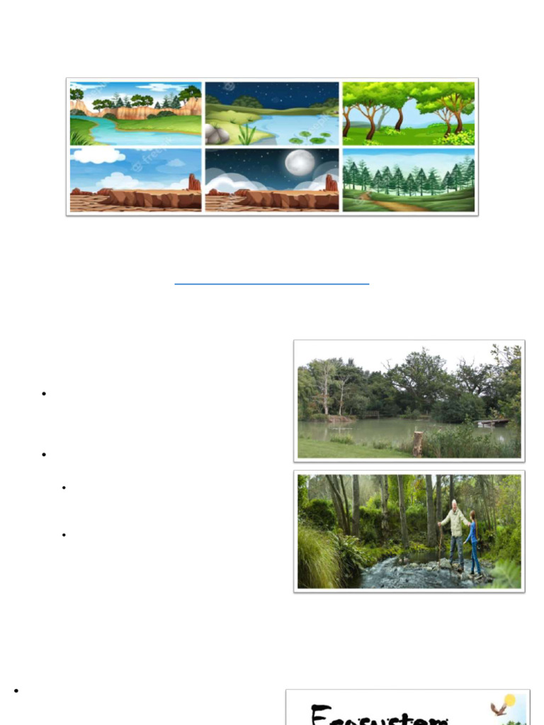 Lecture 4 Ecosystem | PDF