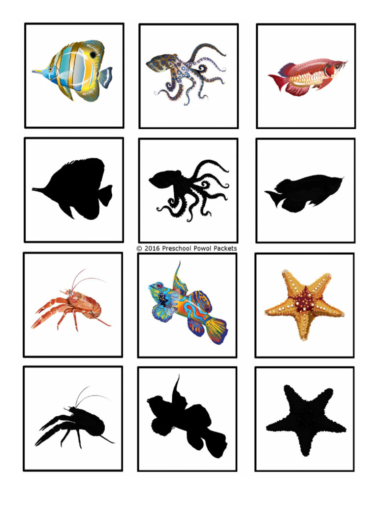 Ocean Animal Shadow Matching Cards | PDF