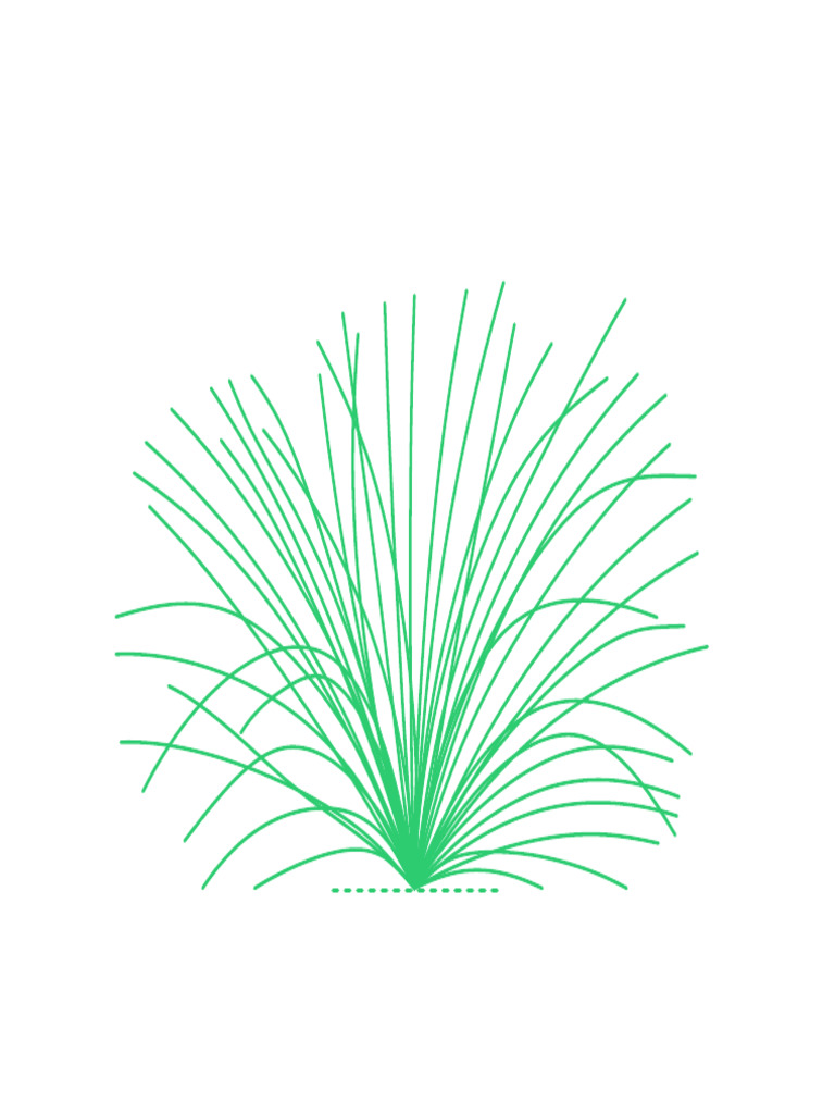 5c9a55a97cc17bc96492cb0b Dimensions Plants Shrubs Blue Fescue Icon | PDF