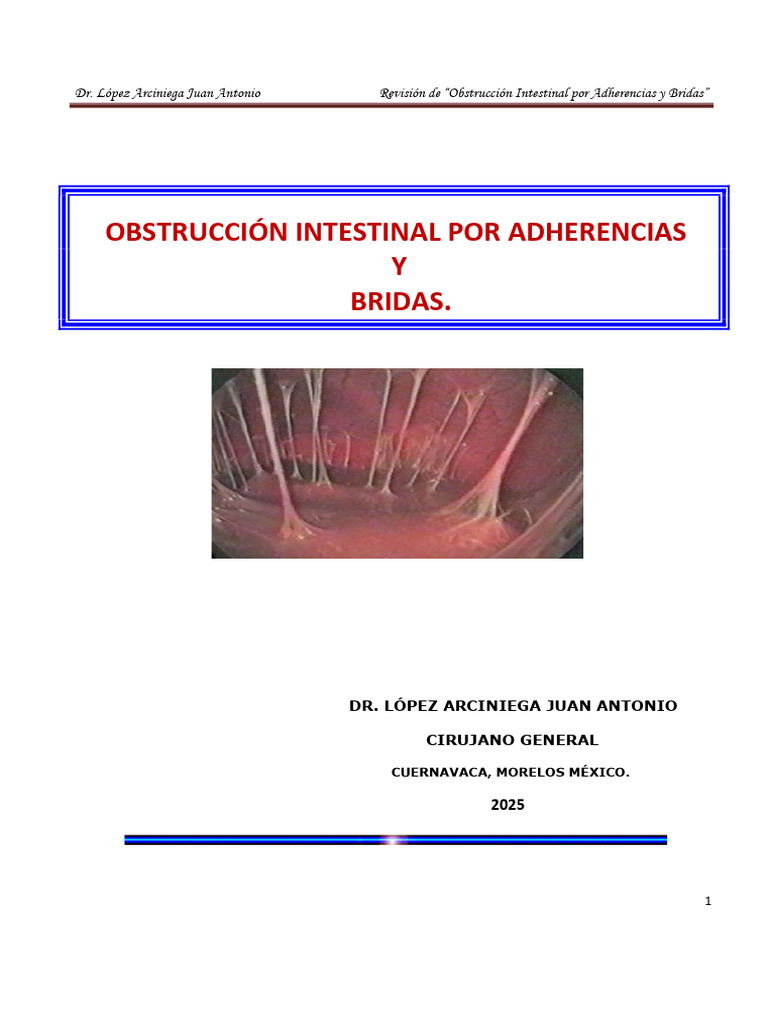 Obstrucción Intestinal Por Adherencias y Bridas | PDF | Especialidades ...