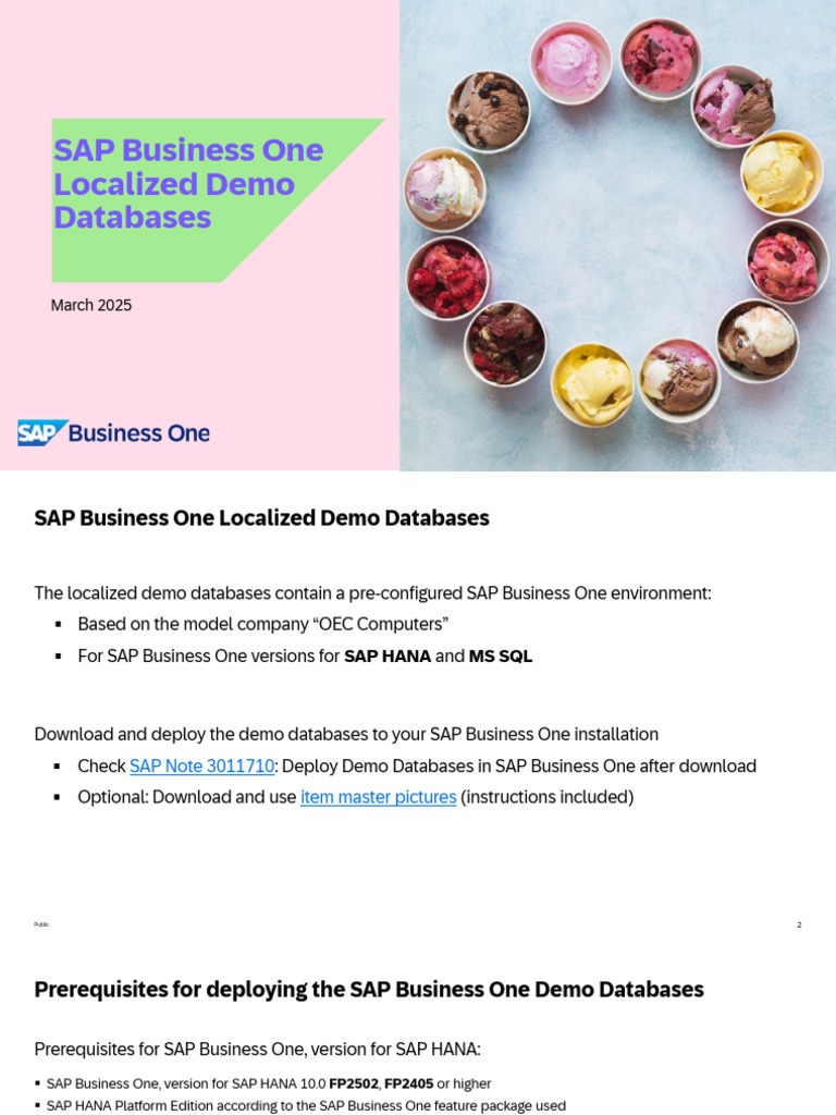 SAP Business One Localized Demo Databases | PDF | Databases | Data