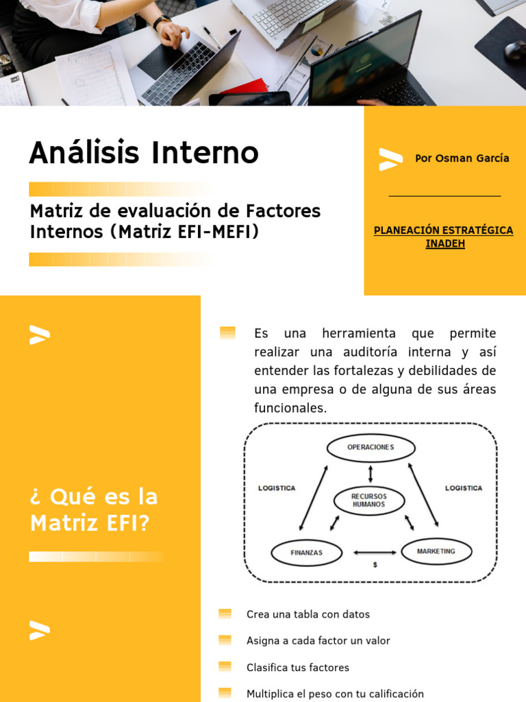 Matriz de Evaluación de Factores Internos (Matriz EFI-MEFI) | PDF
