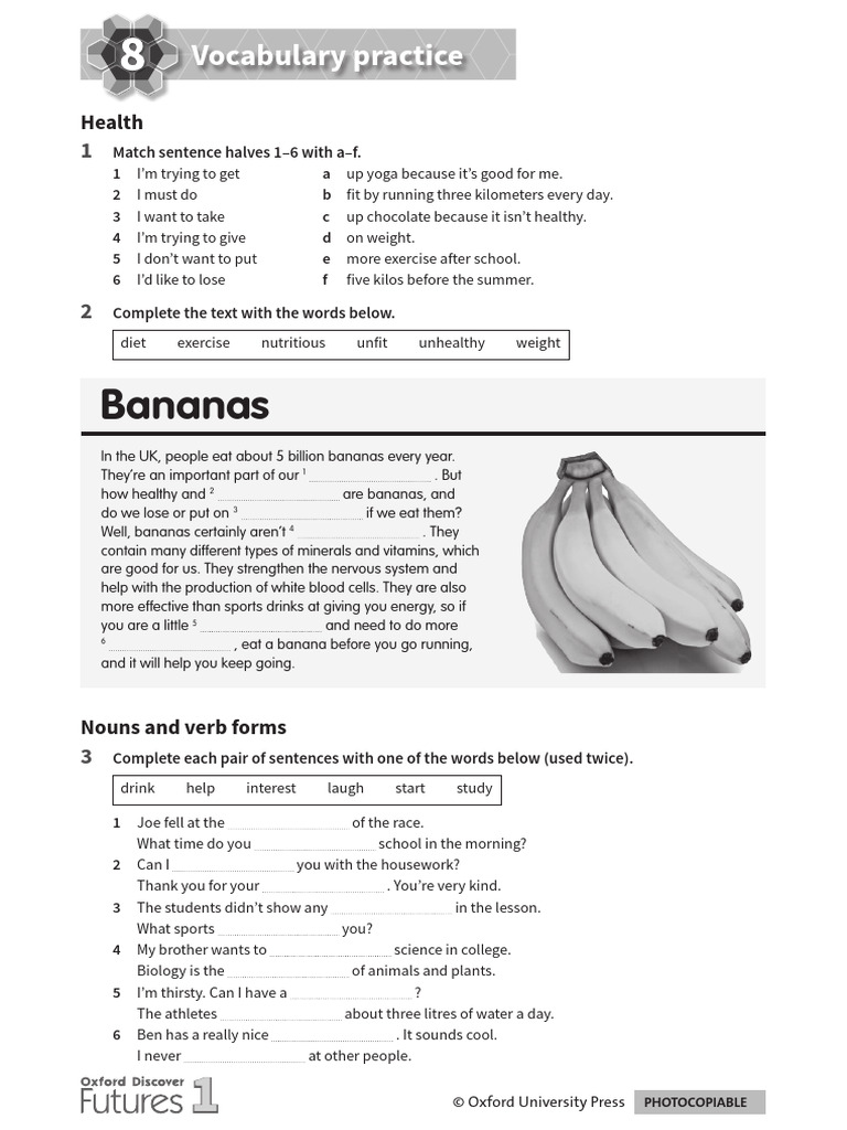 ODF1 Unit 8 Vocabulary Practice | PDF