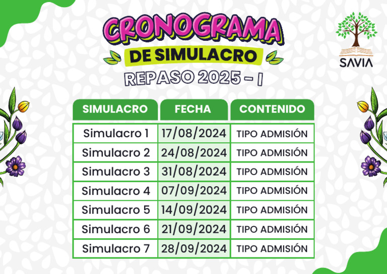 Cronograma de Simulacro - Agosto | PDF