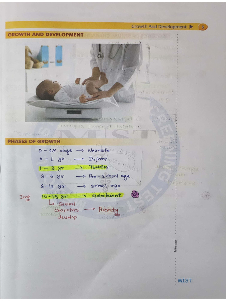 Paedia Handwritten | PDF