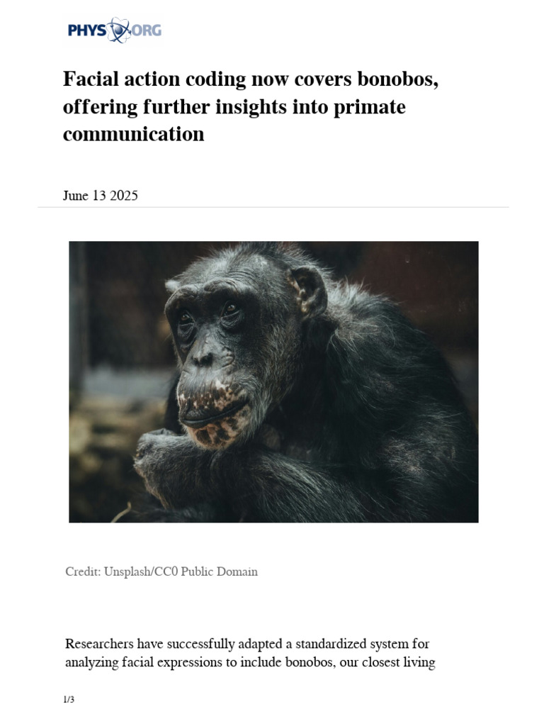 2025 06 Facial Action Coding Bonobos Insights | PDF | Chimpanzee | Zoology