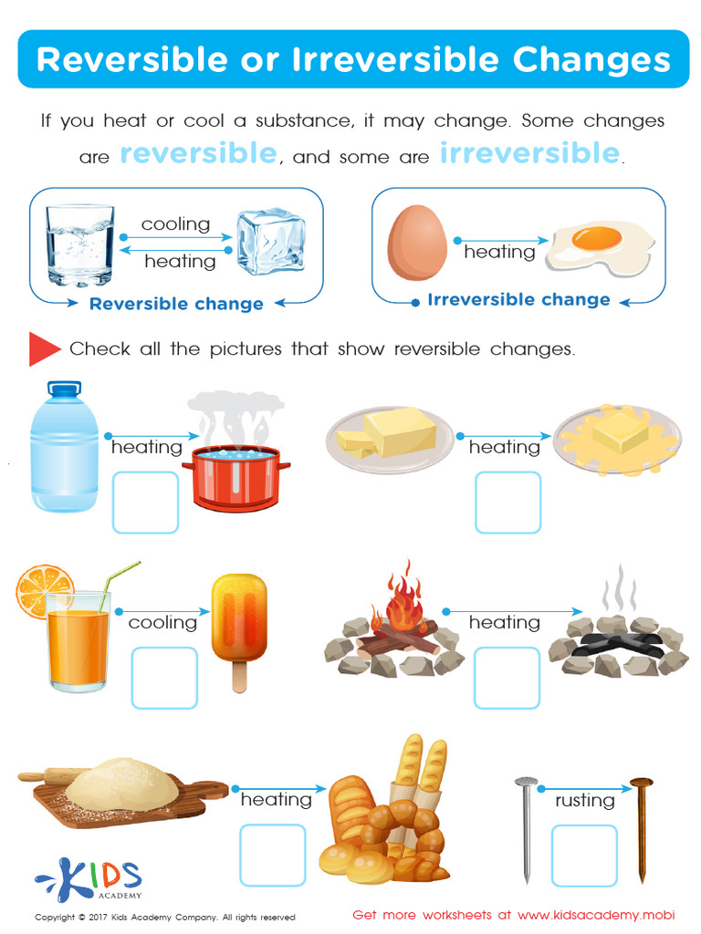 Grade 2 Reversible Irreversible Changes Worksheet | PDF