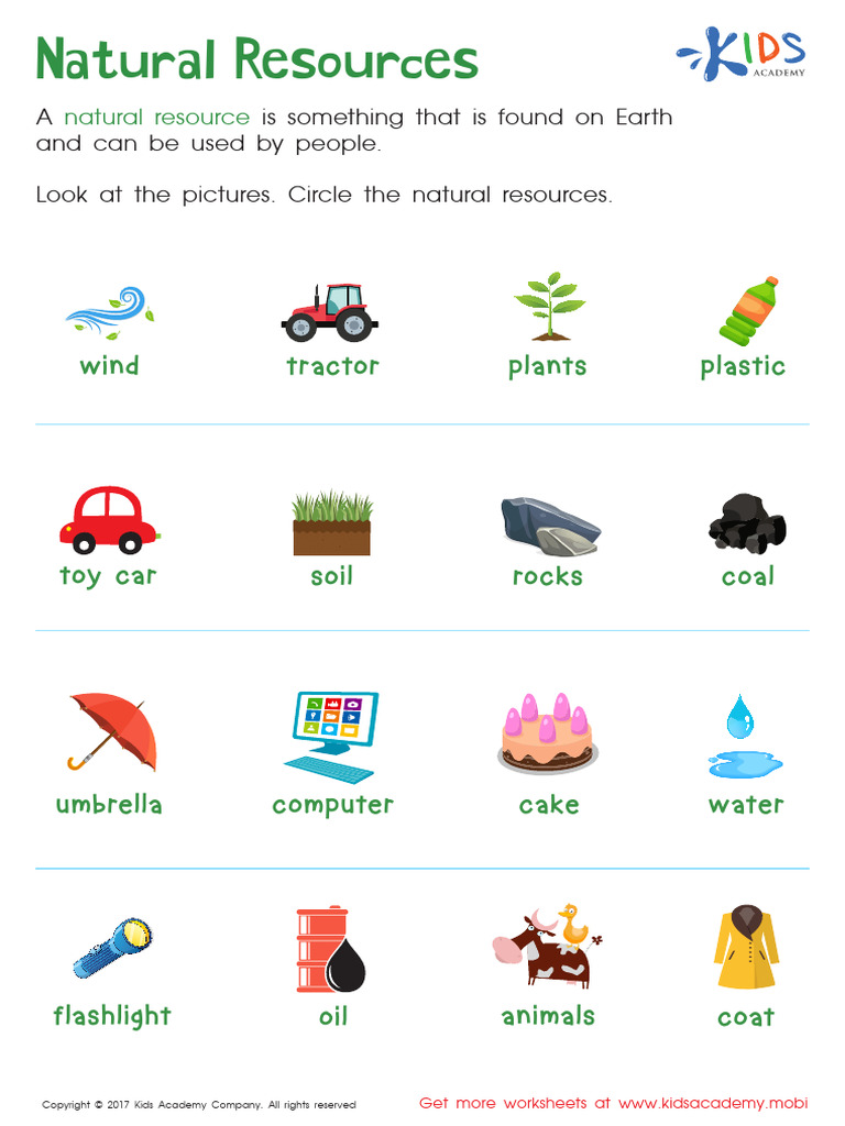 Natural Resources Worksheet | PDF