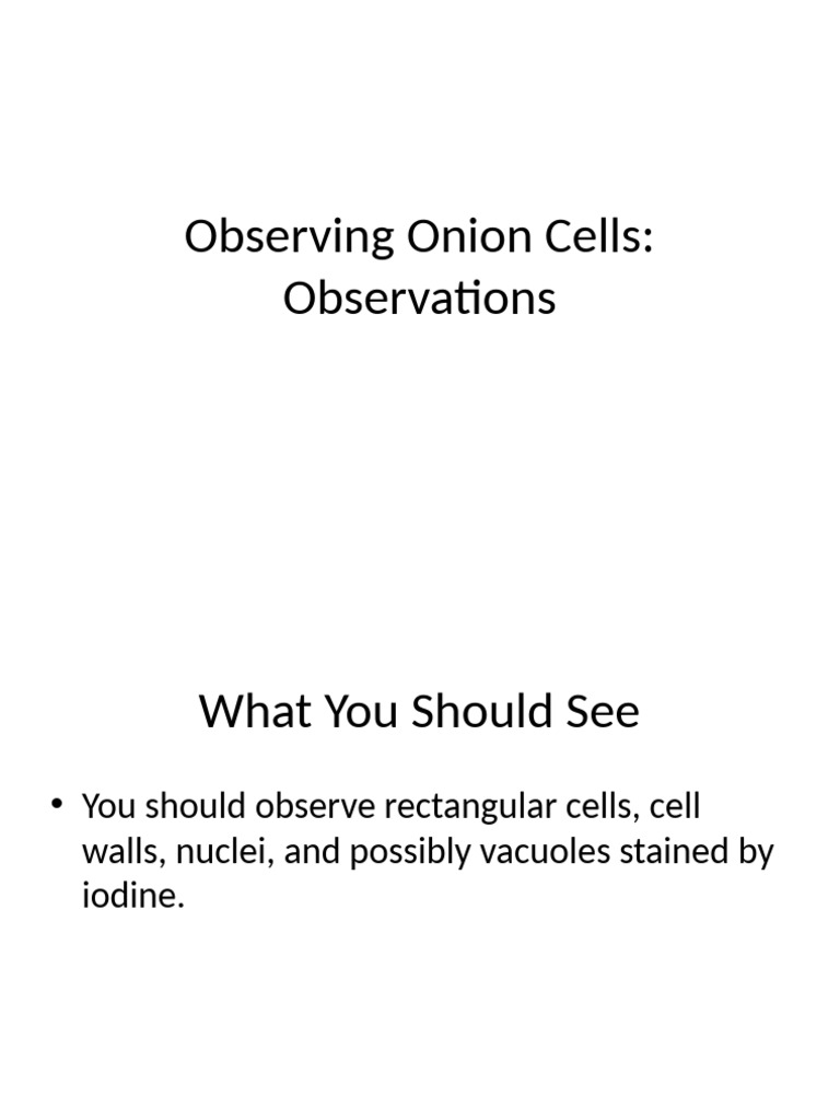 Onion Cells Observations | PDF