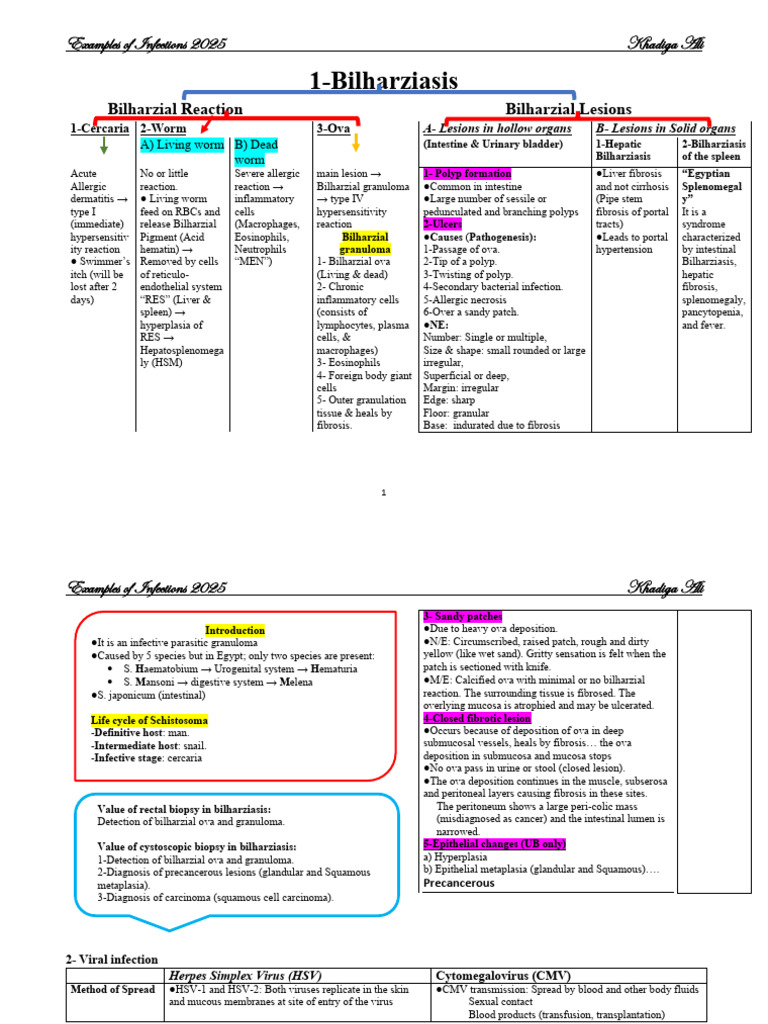 Handout of Examples of Infection-Khadiga2025 | PDF | Candidiasis ...