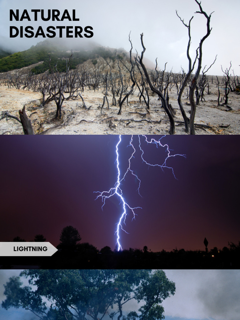 Natural Disasters Presentation in Colorful Photographic Style | PDF