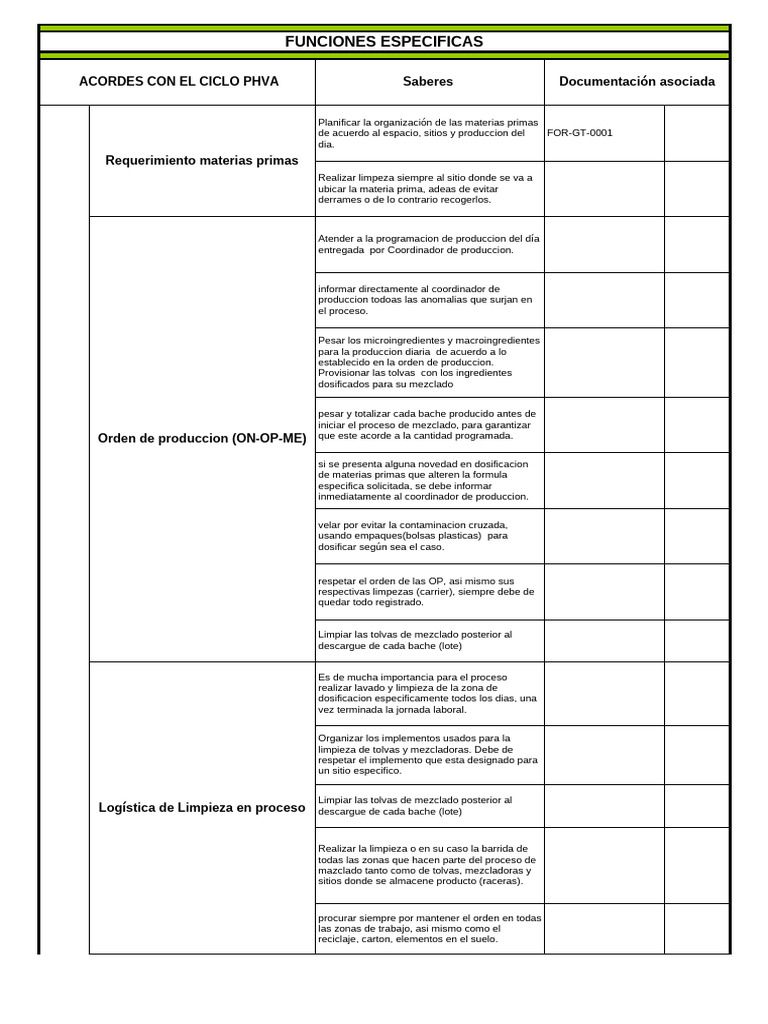 Formato Manual de Funciones 2021 | PDF