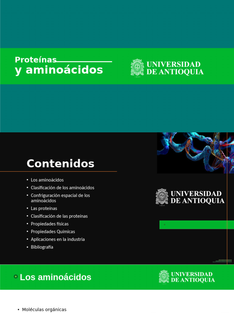 Presentación LAB-Q.O | PDF | Aminoácidos | Proteínas
