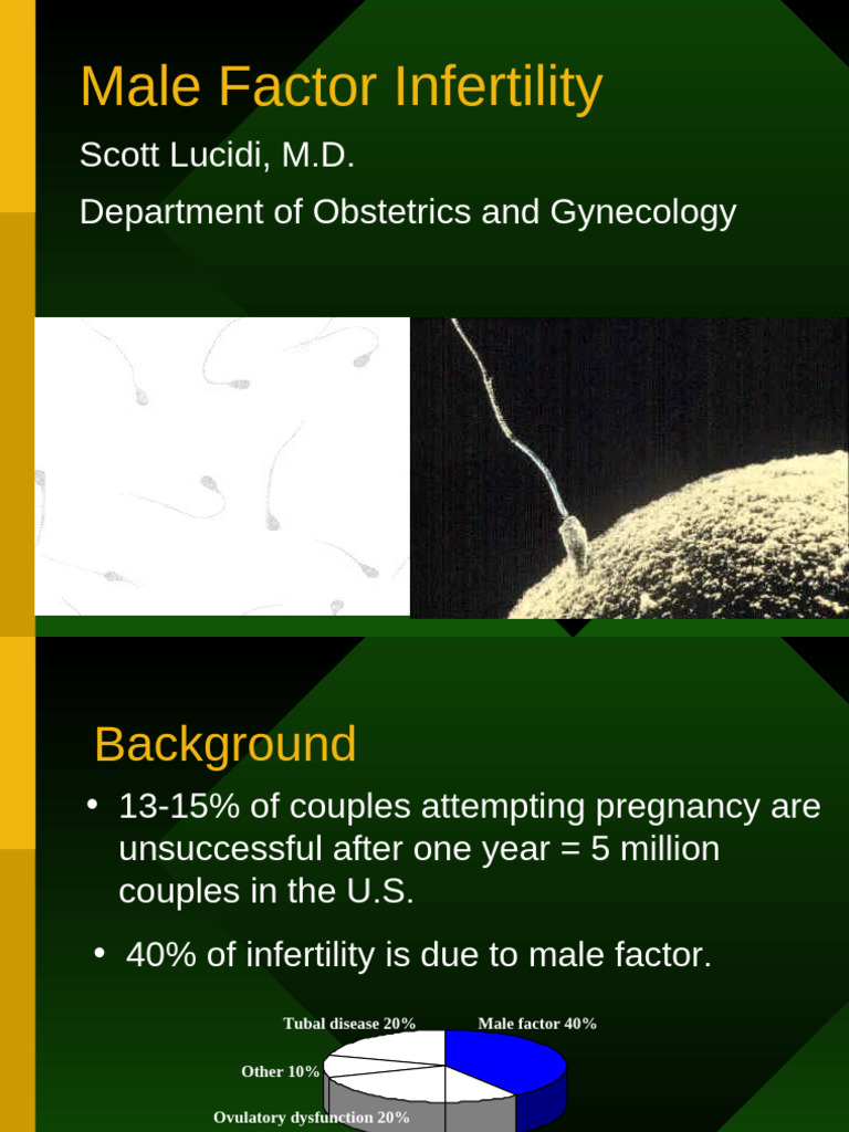 Causes of Male Factor Infertility | PDF | Infertility | Andrology