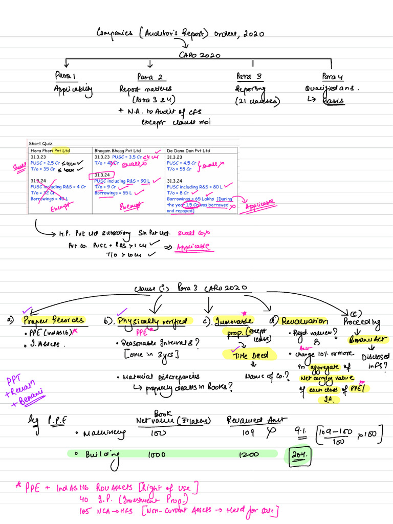 Caro 2020 Board Notes | PDF