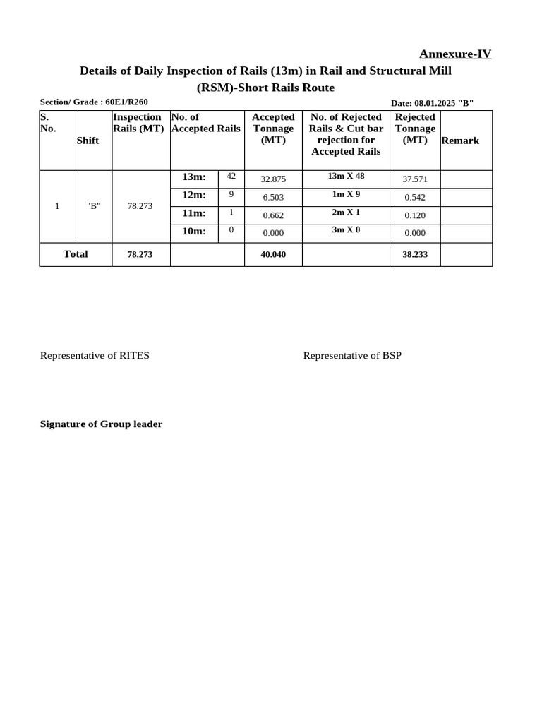 RSM Daily Inspection Annexure | PDF