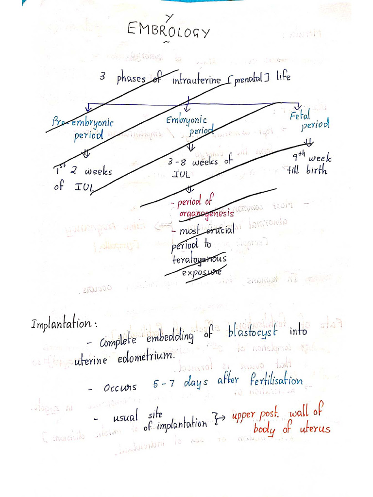 Embryology Full Notes | PDF