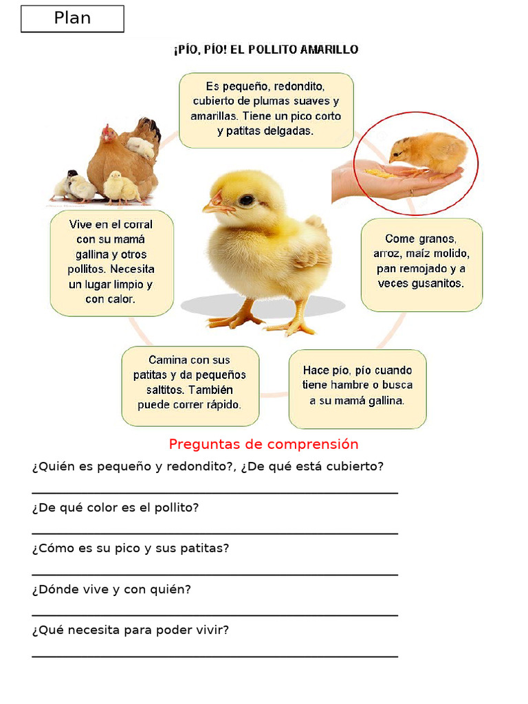 Ficha Pio Pio El Pollito Amarillo | PDF