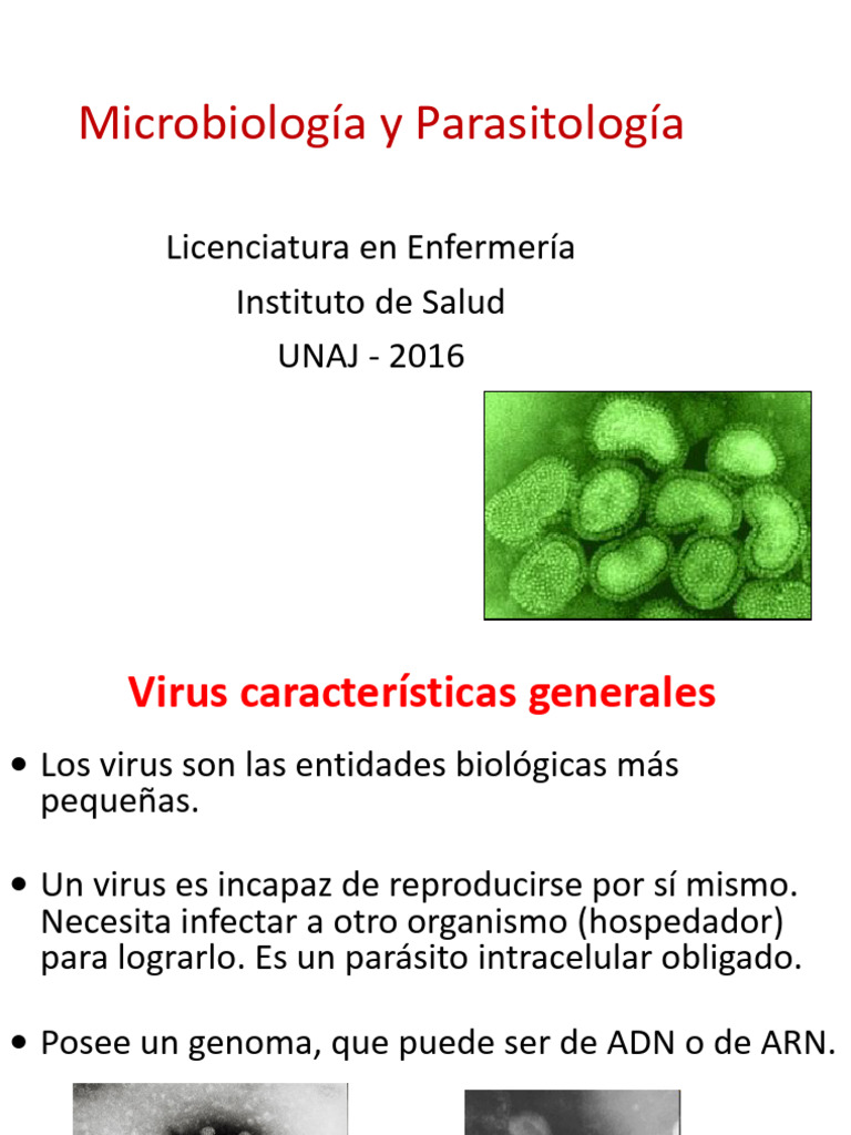 Características y Clasificación de Virus | PDF | Virus | Hepatitis