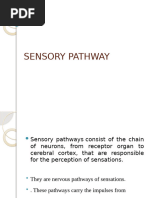 Anatomy and Function of DCML Pathway | PDF | Neuroscience | Nervous System
