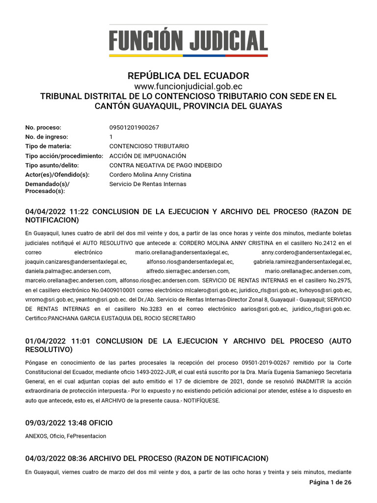 Expel 09501201900267 21058063 08062025 | PDF | Contabilidad | Impuestos