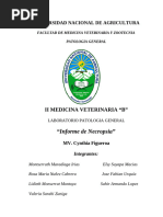 Anatomia Resumen Tercera Clase - Elsy | PDF