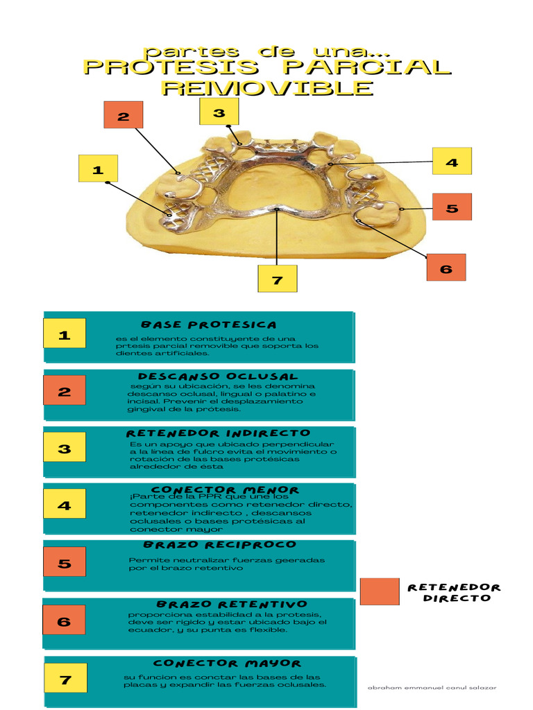 Partes de Una PPR | PDF
