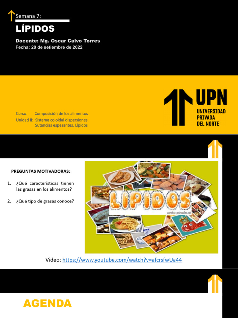 Semana 7 - Composicion - Alim - Ug | PDF | Lípido | Petróleo