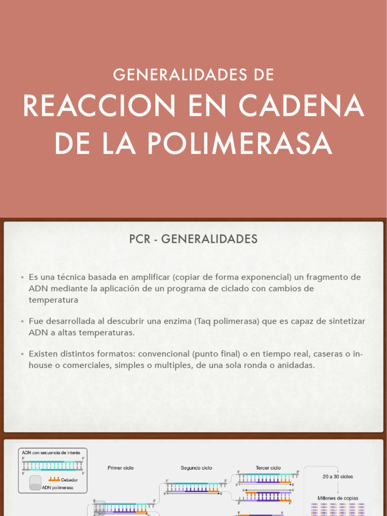 PCR Fundamentos y en Tiempo Real 2024 | PDF | Reacción en cadena de la ...