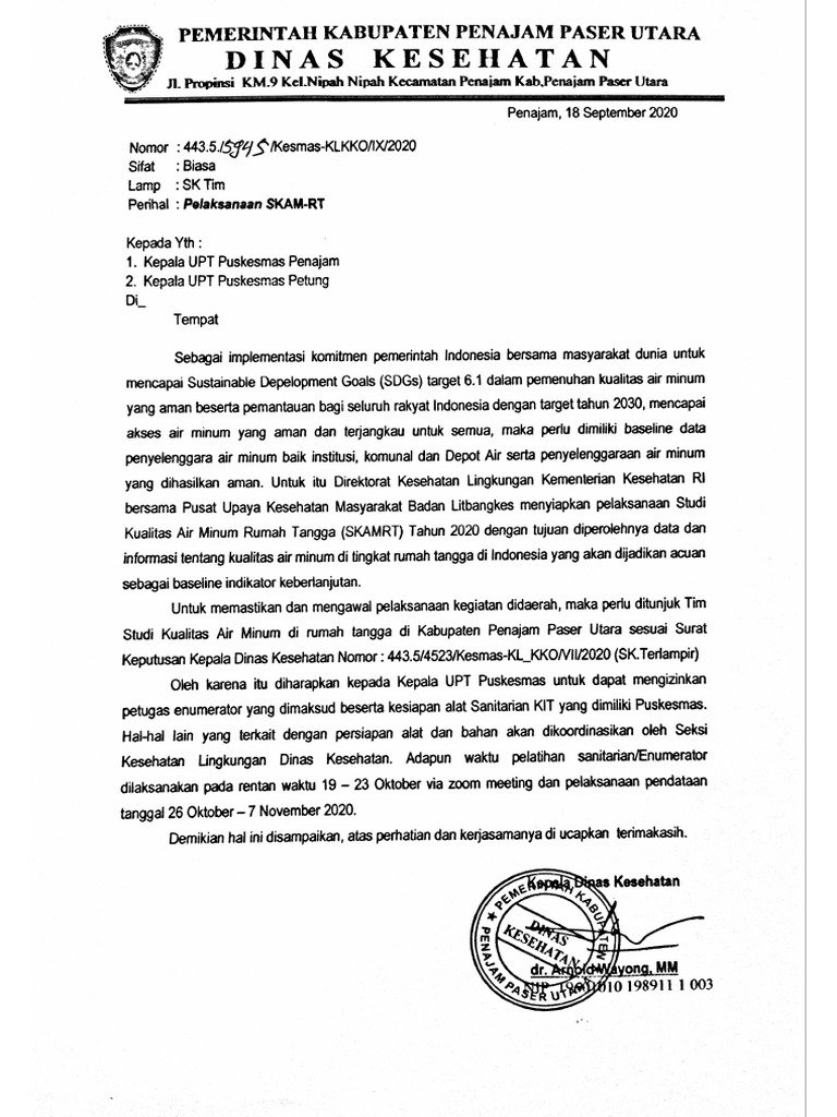 Pelaksanaan SKAM RT | PDF