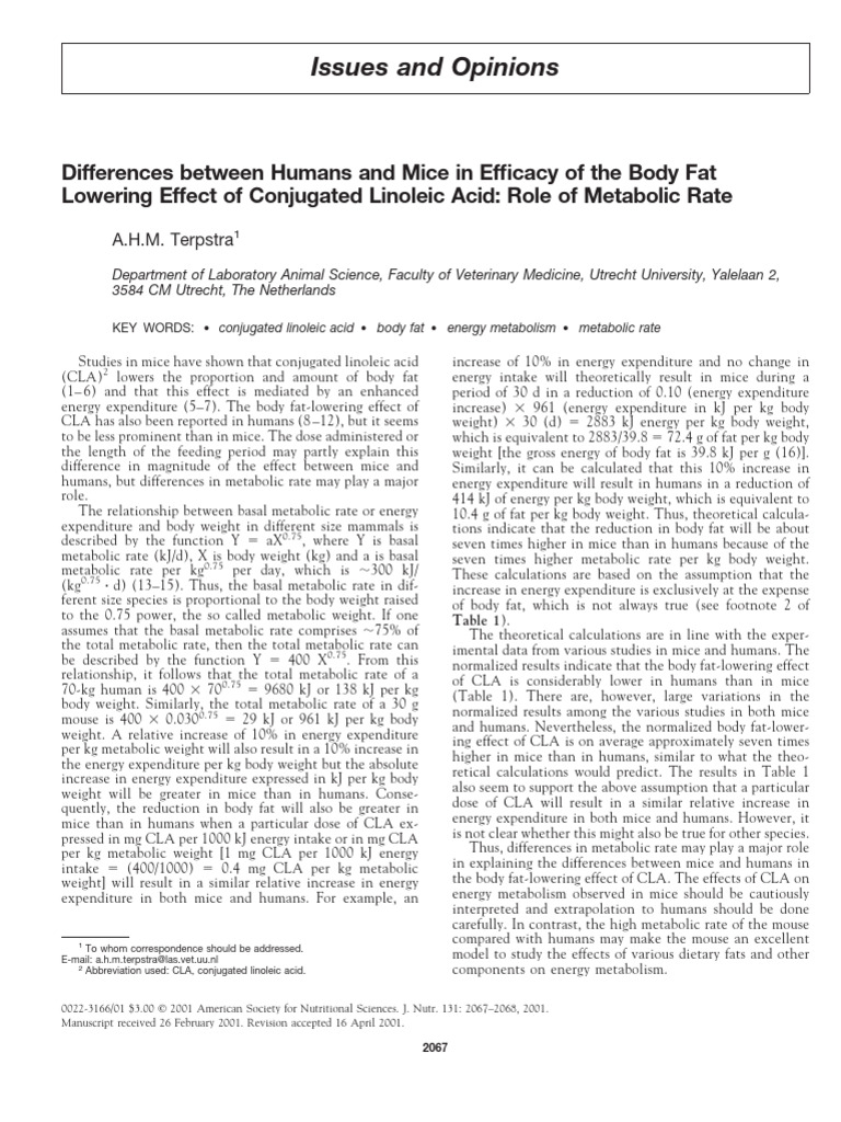 Differences Between Humans and Mice in Efficacy of The Body | PDF | Fat ...
