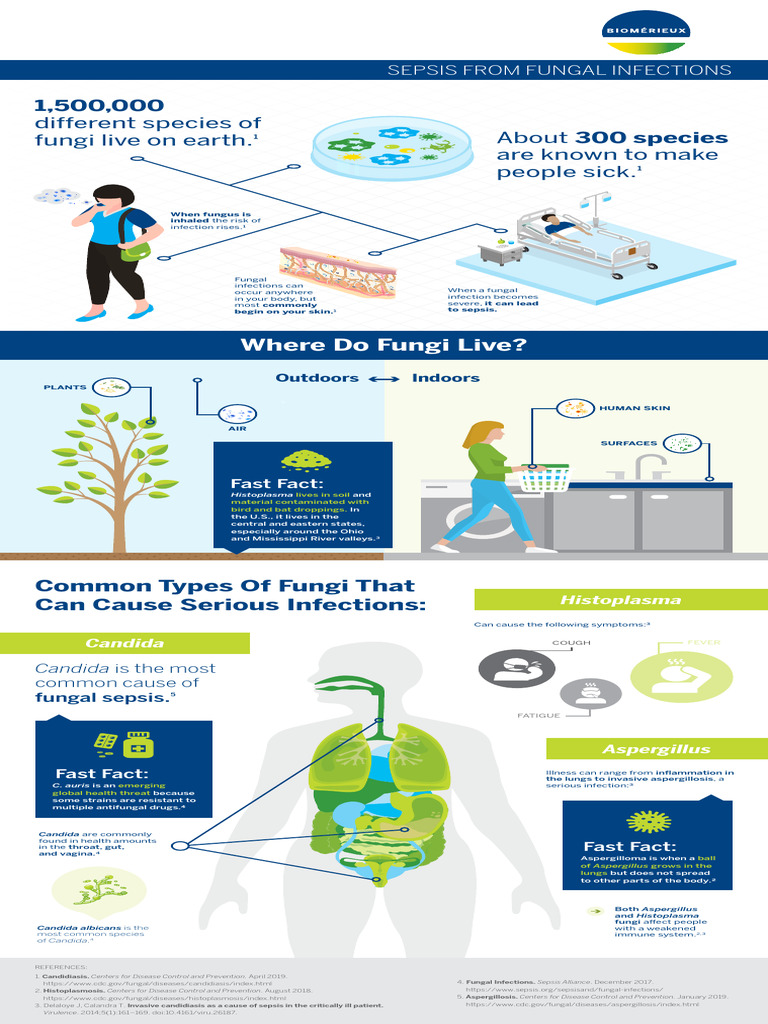 19 Sepsis Fungi Infections V2 | PDF | Candida (Fungus) | Candidiasis