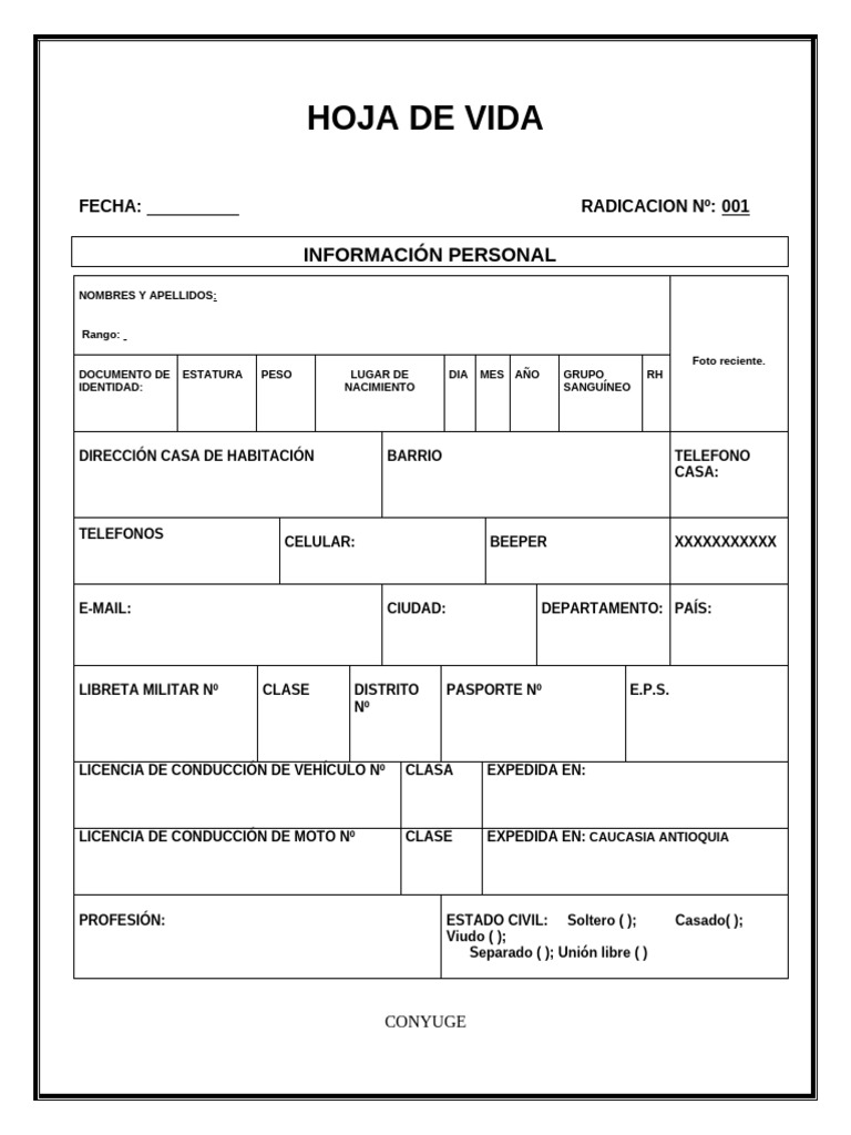 Formato Vacio de Hoja de Vida | PDF