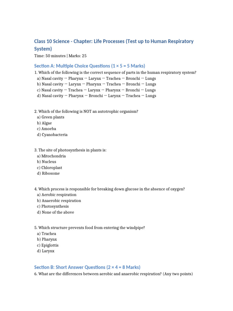 Life Processes Test Class 10 | PDF