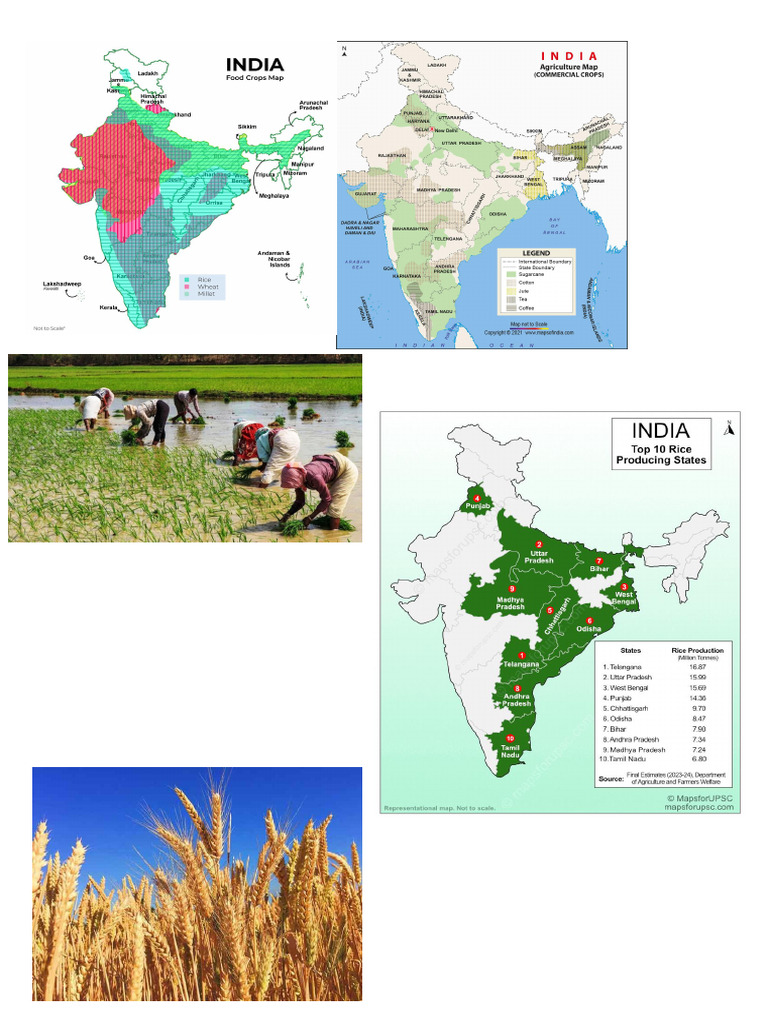 Geo Project | PDF