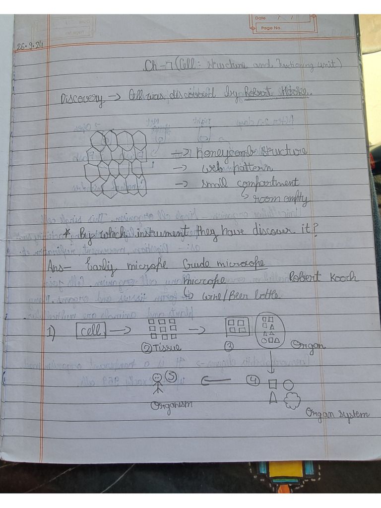 Science ? Class Work PDF | PDF