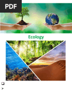 Biomanbio Succession Interactive | PDF | Flowers | Earth Sciences