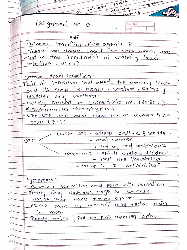 MC Assignment 2 | PDF