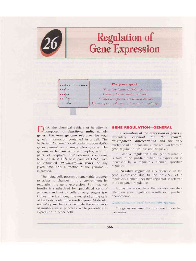 Regulation of Gene Expression - Lactose Operon | PDF
