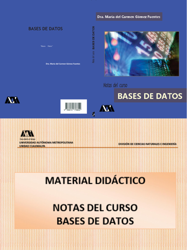 Base de Datos | PDF | Base de datos relacional | Bases de datos