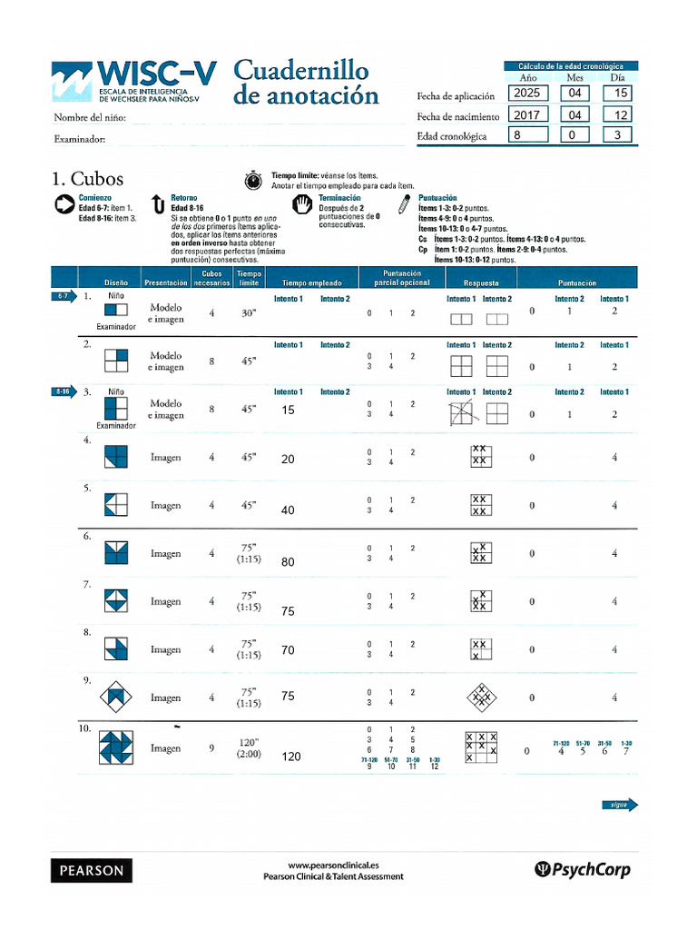 Protocolo 1 Ejemplo Wisc V 1 (Recuperado) | PDF